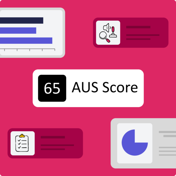 Accessible usability scale - test usability with assistive technology users